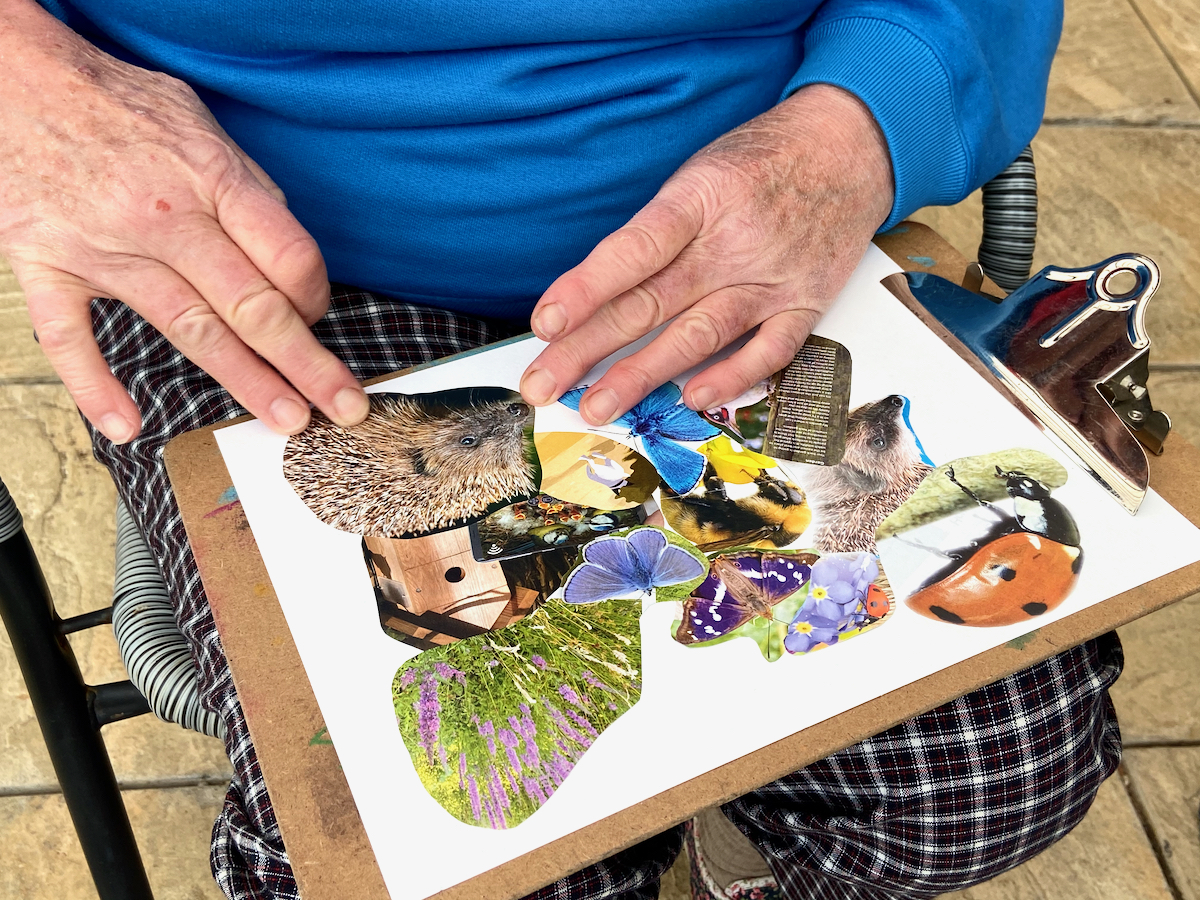 Making a Start Together – Noticing Nature