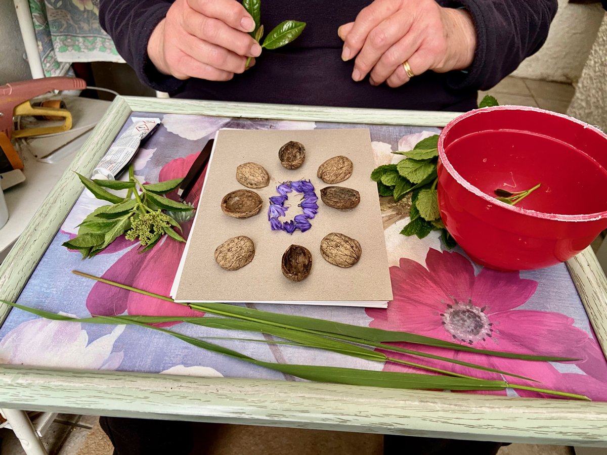 All the Little Details – Noticing Nature