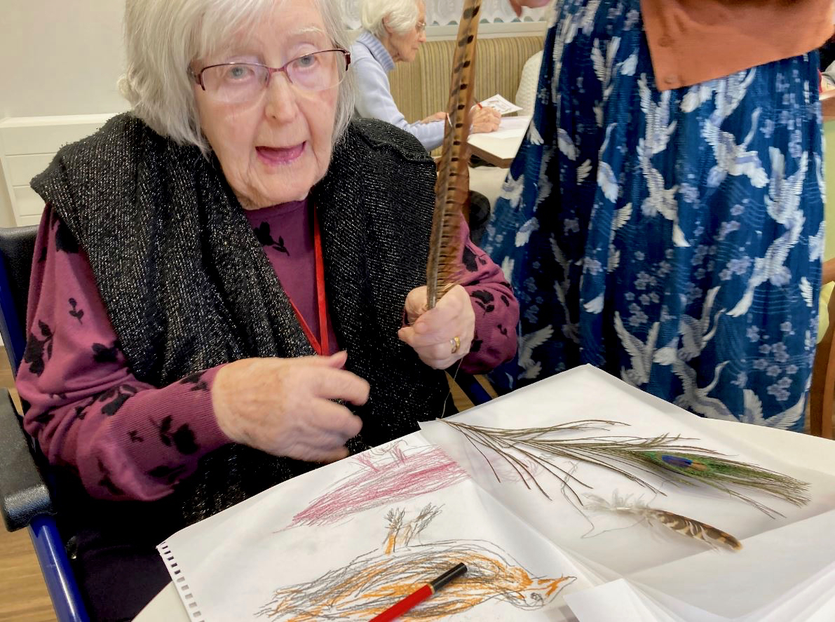 Garden Birds at Goodson Lodge – Noticing Nature